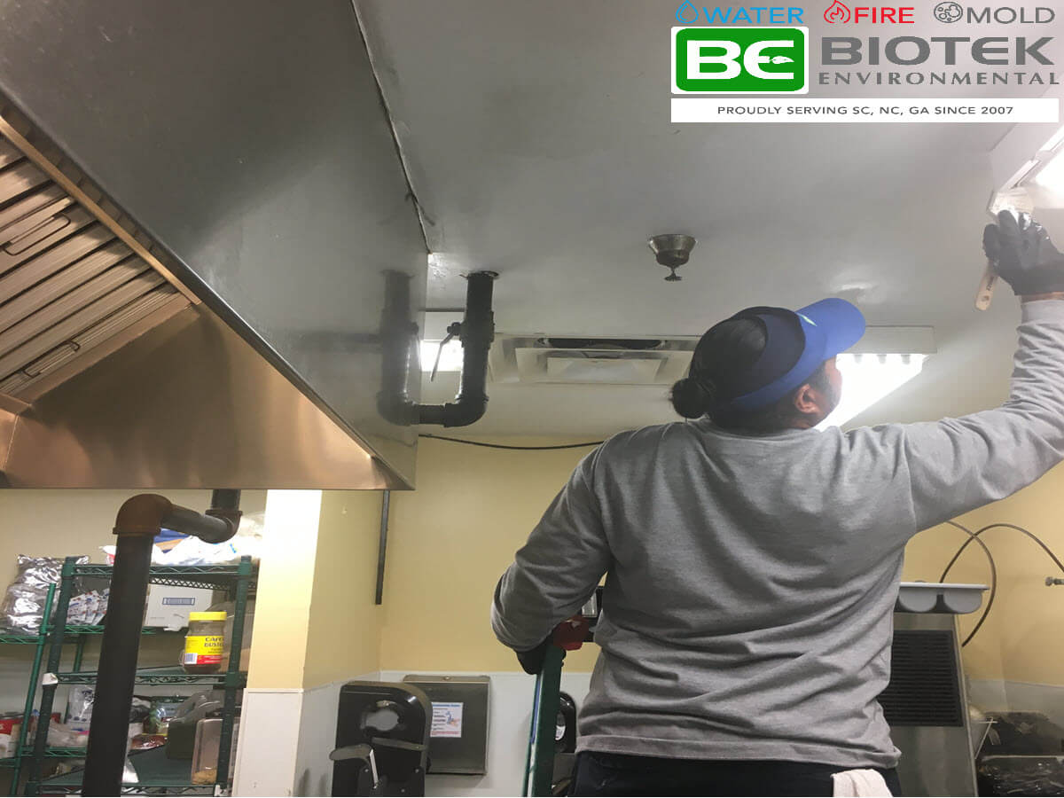 Columbia Mold Inspection Services | Qualified Inspectors